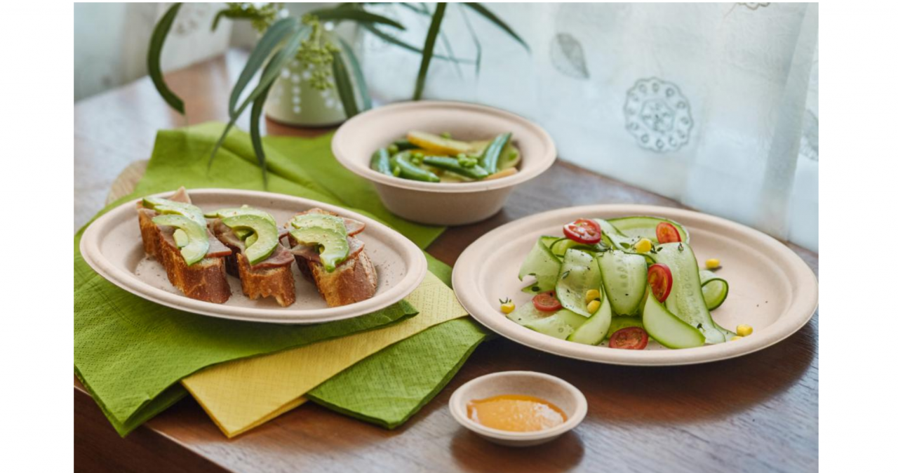 紙碟、膠碟｜Chao Pak Kei 鄒北記